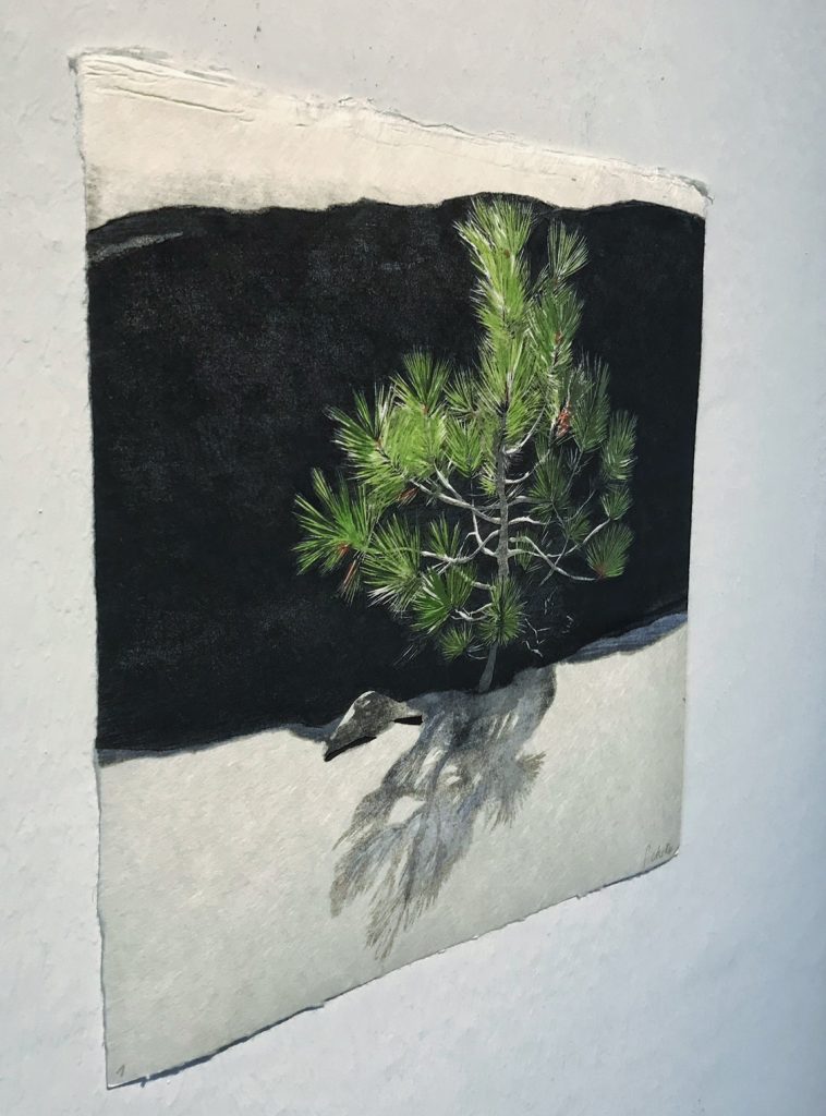 Eichenmüllerhaus: Ausstellungseröffnung Eva Pietzcker „Licht und Schatten - Holzschnitte“ | Mein ...