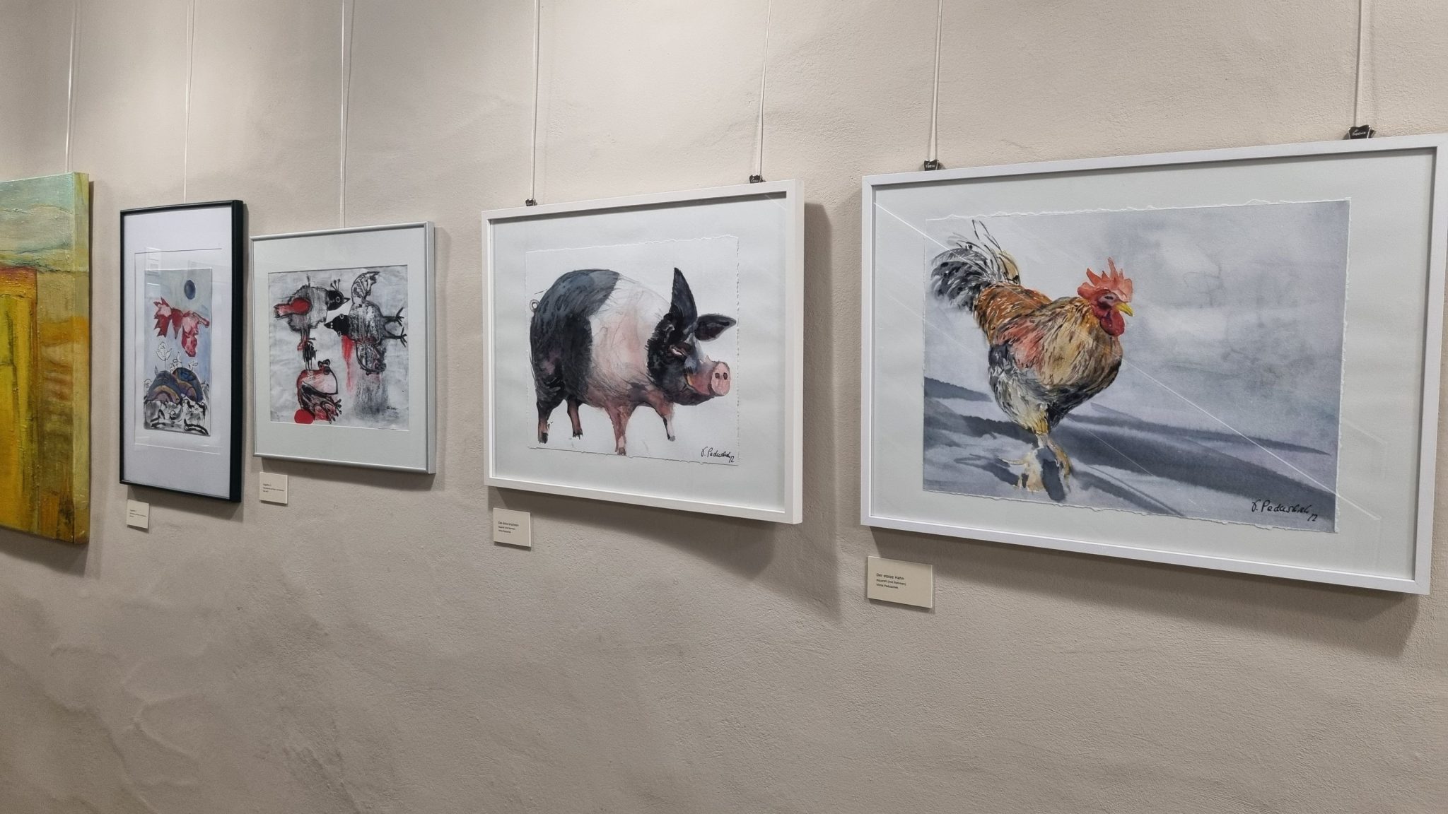 Ausstellung: "Unsere schöne bunte Welt – Entdeckungen" | Mein-Lemgo
