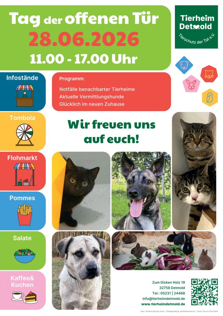 Tierheim Detmold - Tag der offenen Tür 2026 | Mein-Lemgo